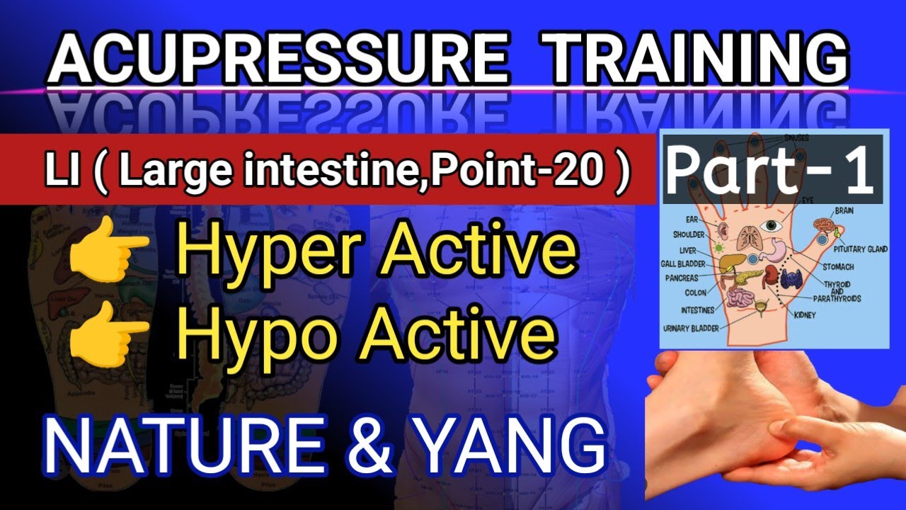 ACUPRESSURE TRAINING||LI Meridian Point|| LI - Hyper & LI- Hypo ||PART-1 - YouTube