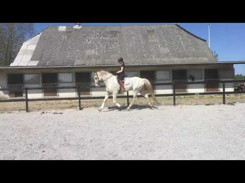 Oliver - Maj 2019 - YouTube