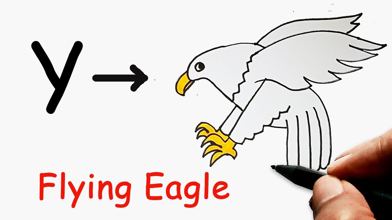 How To Draw An Eagle Flying Step By Step