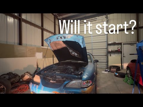 Working on my Brother’s Mustang