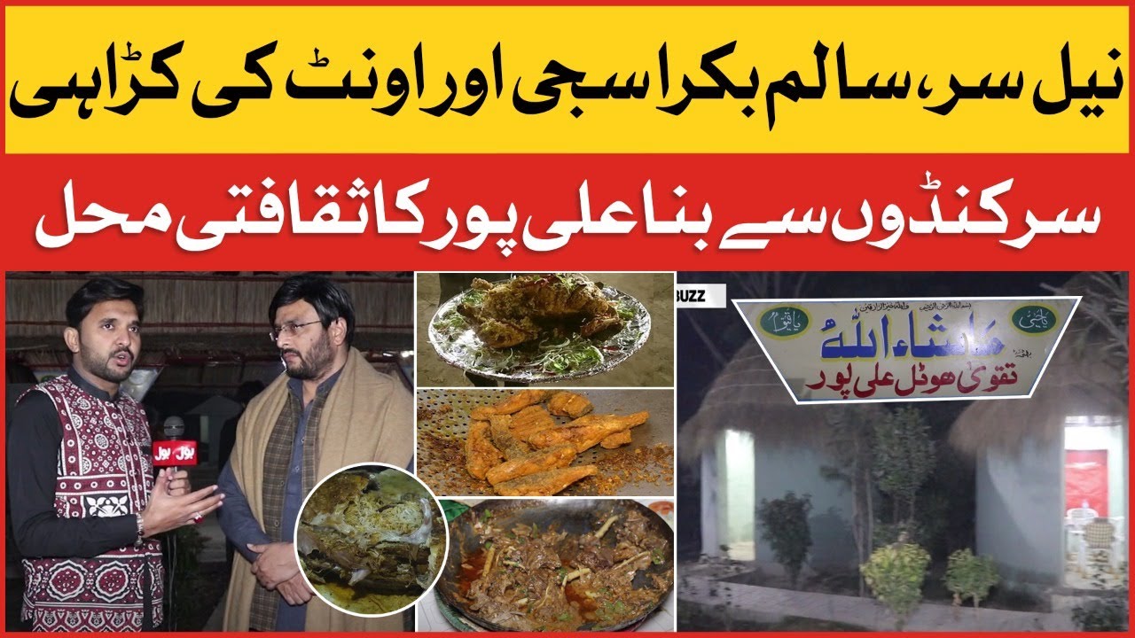 Neelsar Bird, Salim Bakra aur Camel Karhai | Taqwa Hotel Alipur ...