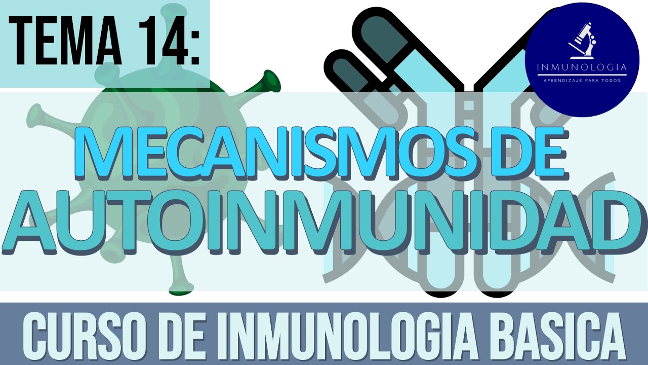 Autoinmunidad | Mecanismos de autoinmunidad - Factores genéticos y ...