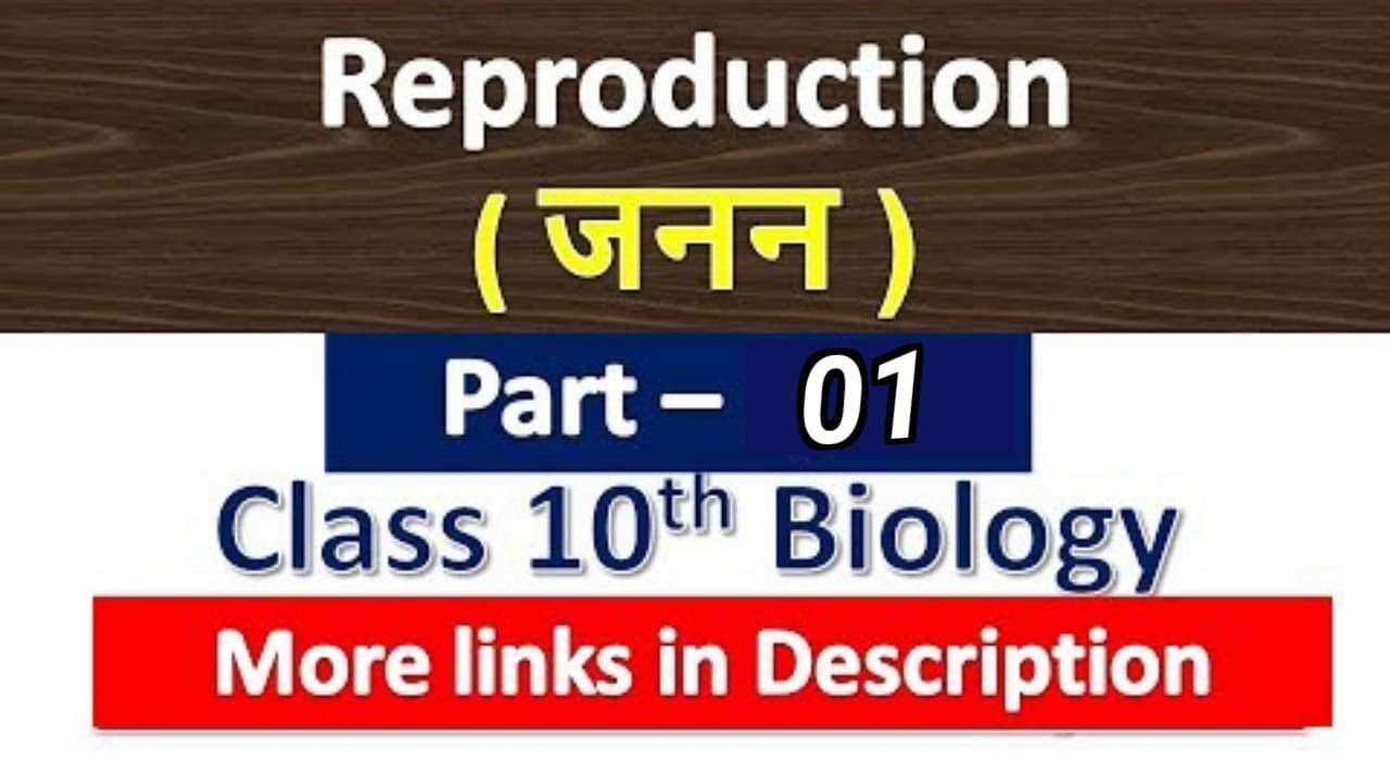 10th class biology reproduction - YouTube