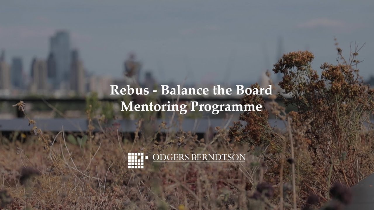 Rebus - Balance the Board Mentoring Programme - YouTube