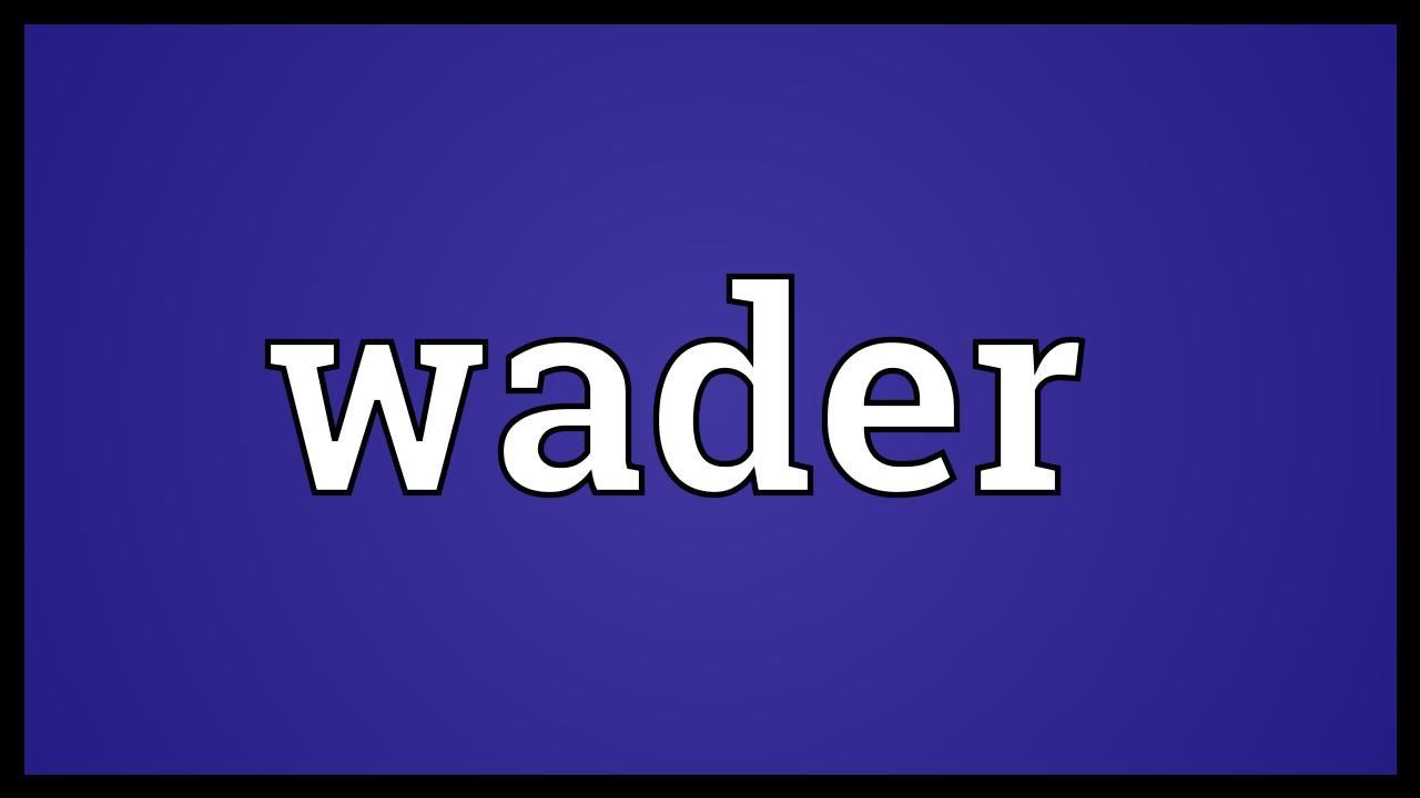 Wader Meaning - YouTube