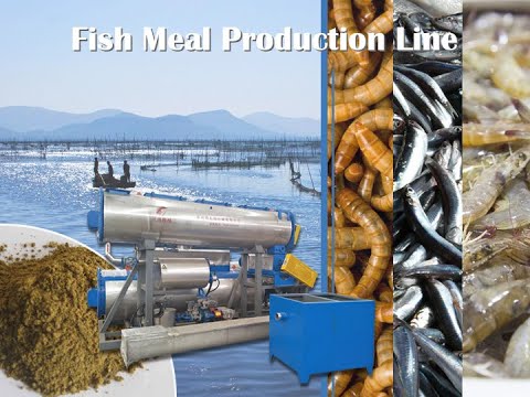 Fish Meal Production Process | Chile Fish Meal Production Line ...