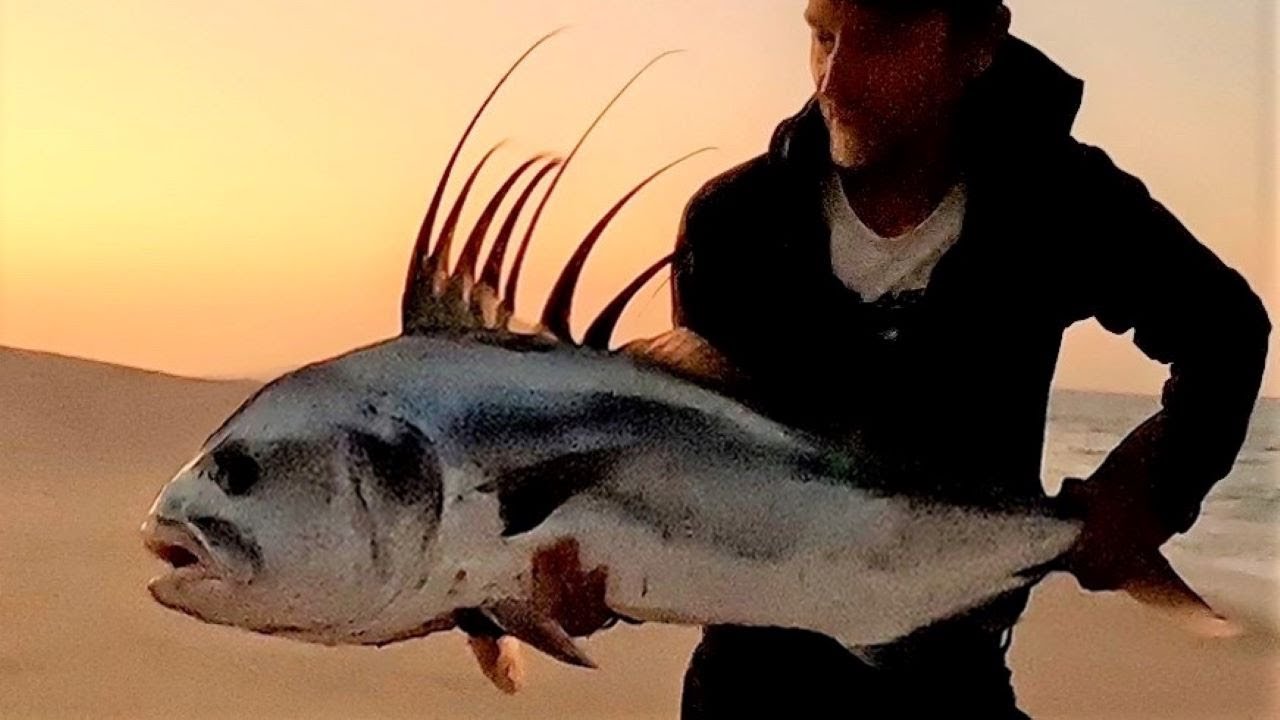 FIRST CAST ROOSTERFISH | PEZ GALLO - YouTube