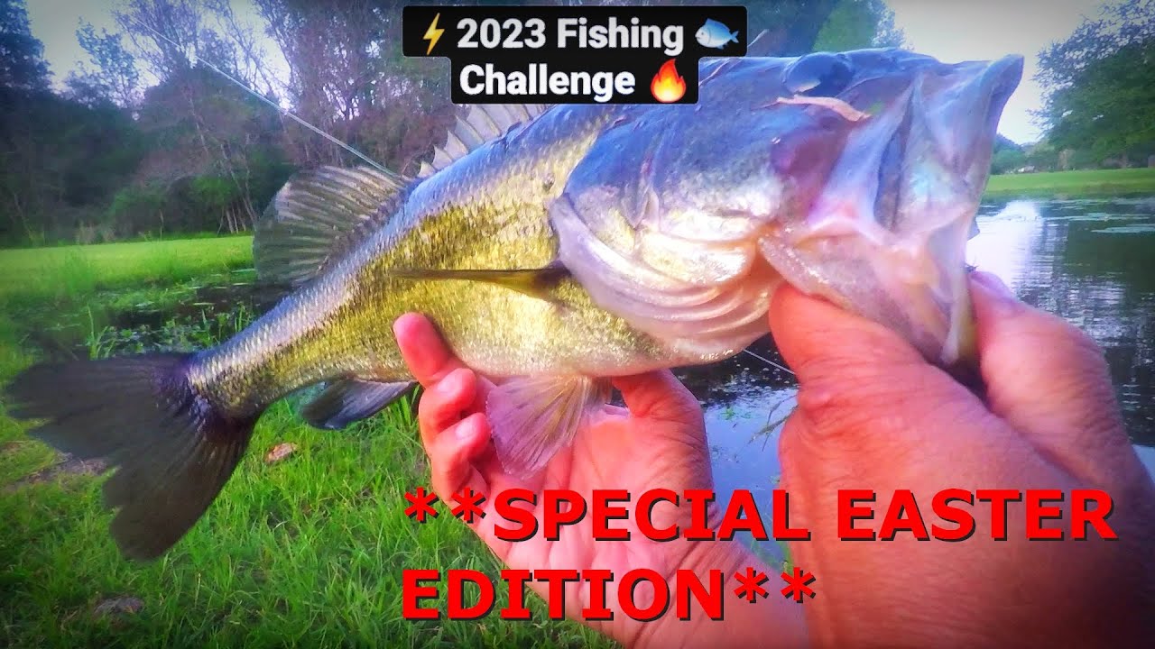 💥(Day 100) Catch 1 fish 🐟 EVERYDAY 💛💜 [Fishing Challenge] #youtube # ...