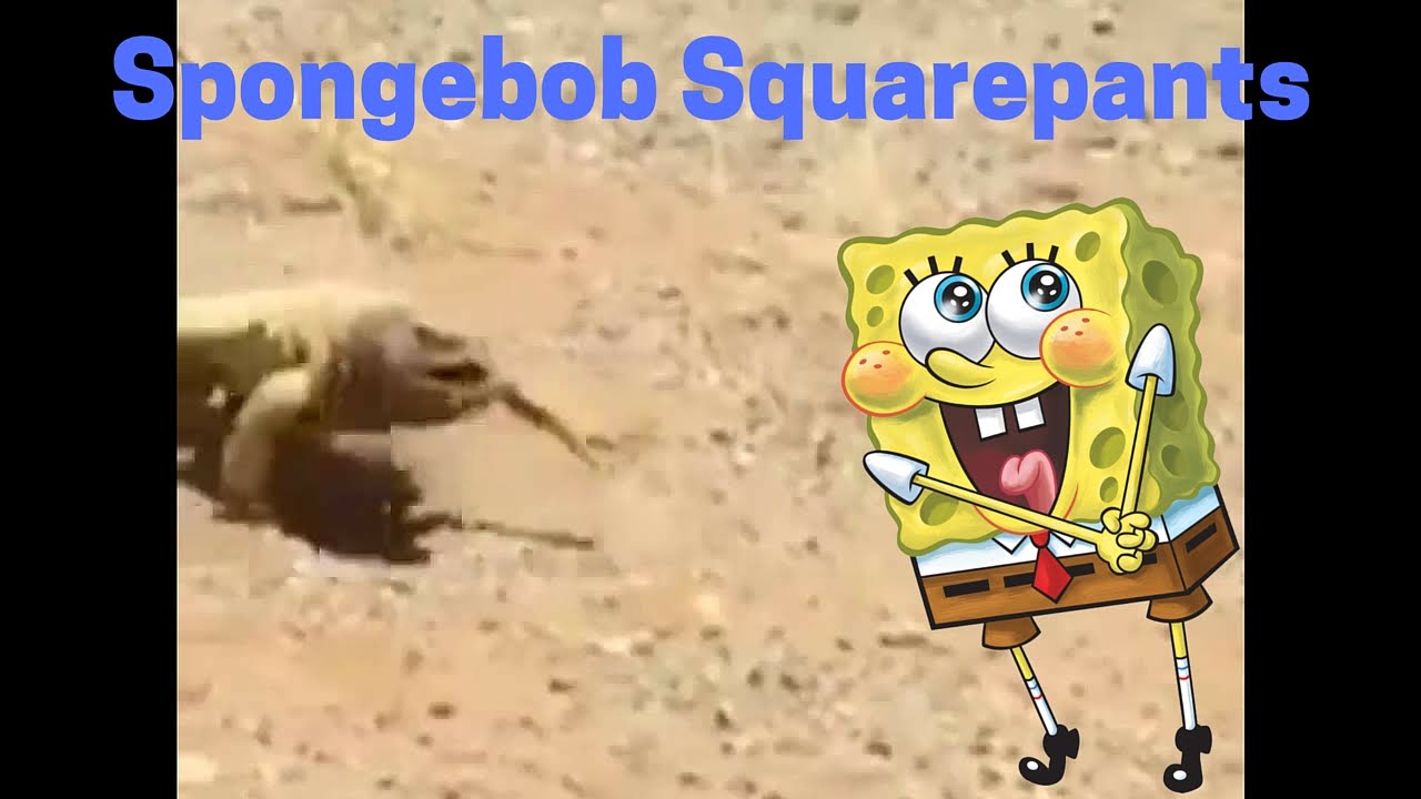 Hot Saudi Arabia lizard | SpongeBob Dub - YouTube