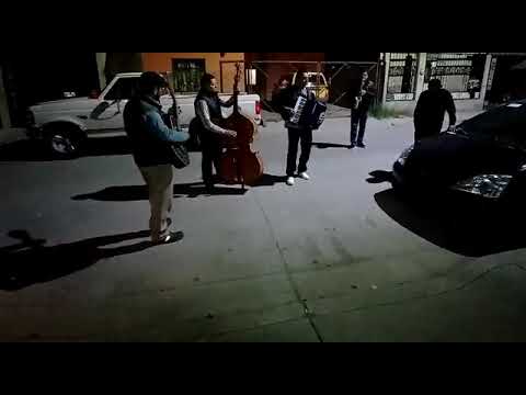 Tu partida - Los Triki Trakas del Sabor - YouTube