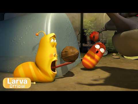 Walnut | Animation Compilation | Larva Tuba | Official