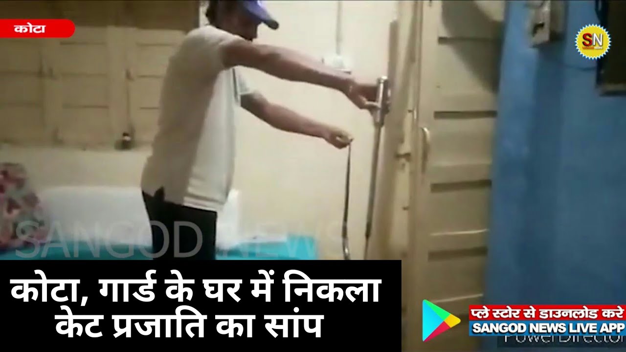 कोटा, गार्ड के घर में निकला केट प्रजाति का सांप | Kota News Today ...