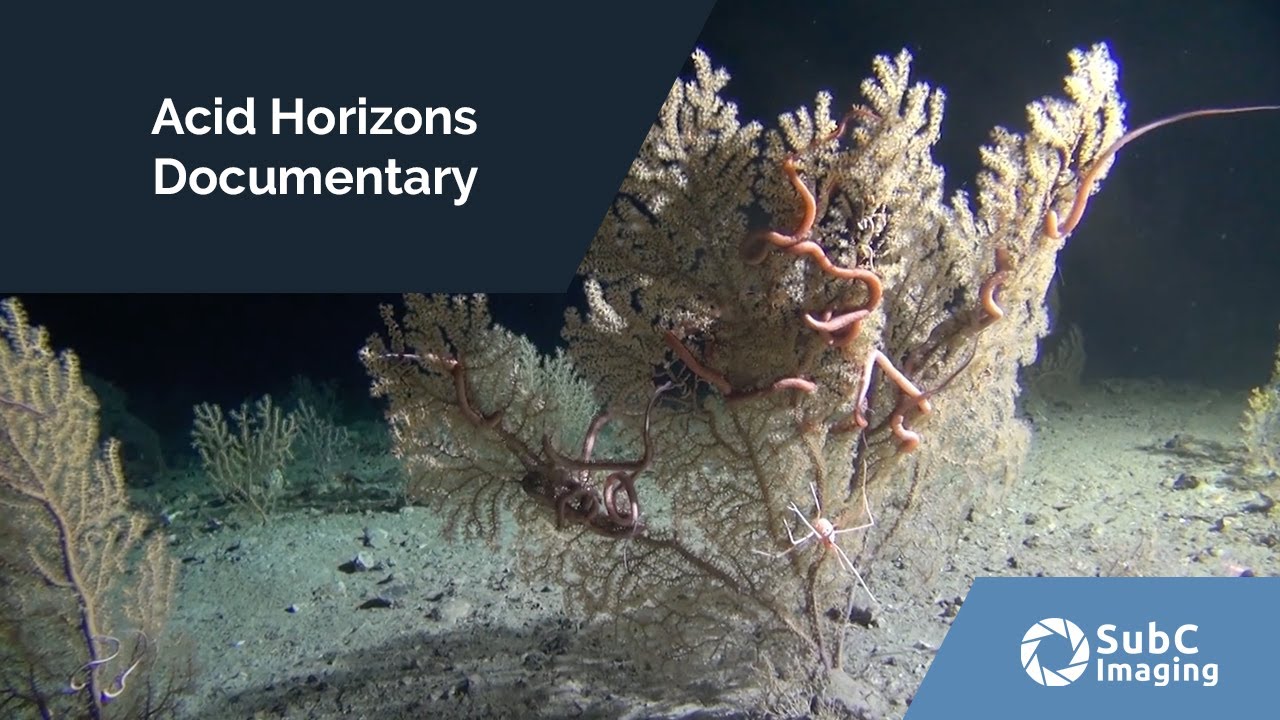 Acid Horizons Documentary - YouTube