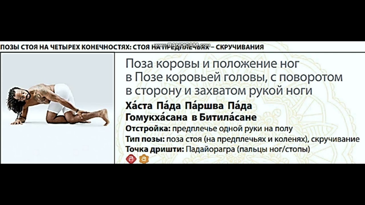 Hand to Leg Sideways Leg Position of Cow Face Pose in Cow Pose - YouTube