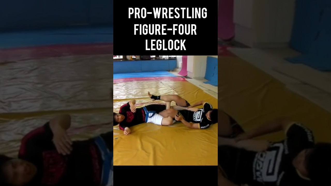 Martial art technique - Pro Wrestling - Figure 4 leglock #martialart # ...