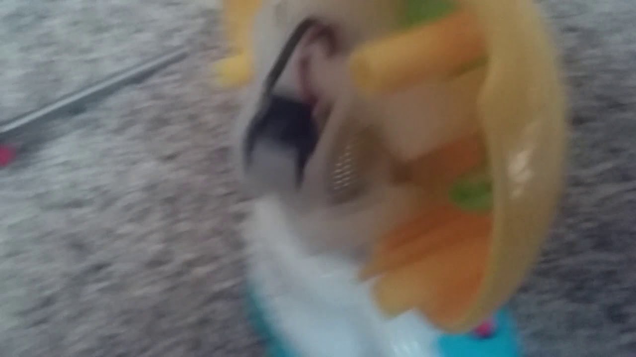 What's inside evil Beatbo and evil beatbelle - YouTube