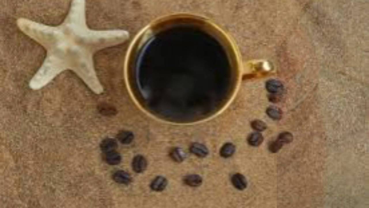 High School Photo Essay - Elijah Doty - YouTube