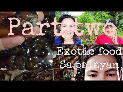exotic food sa bukid part2(kuhol at suhong palayan vlog11 - YouTube