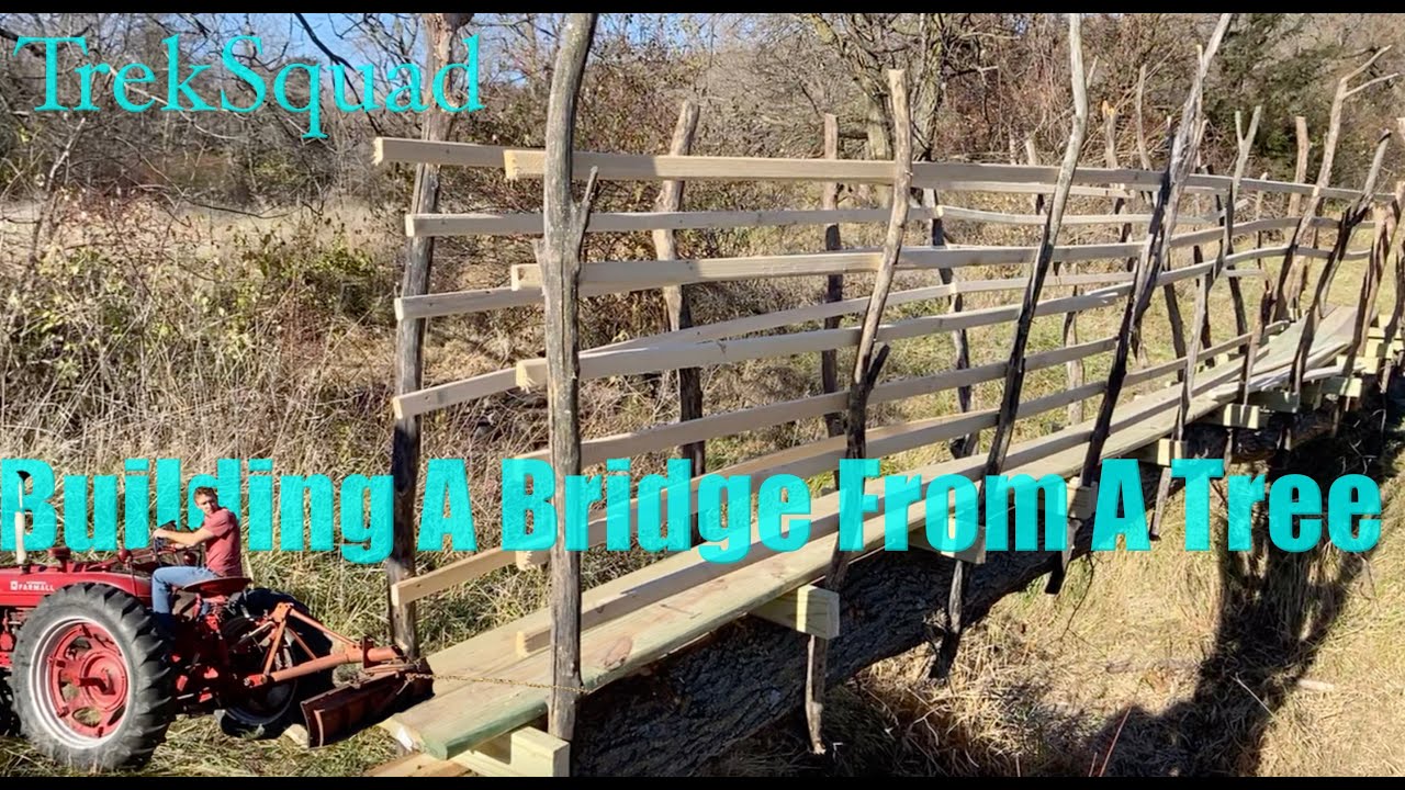 Using One Tree for a Bridge - YouTube