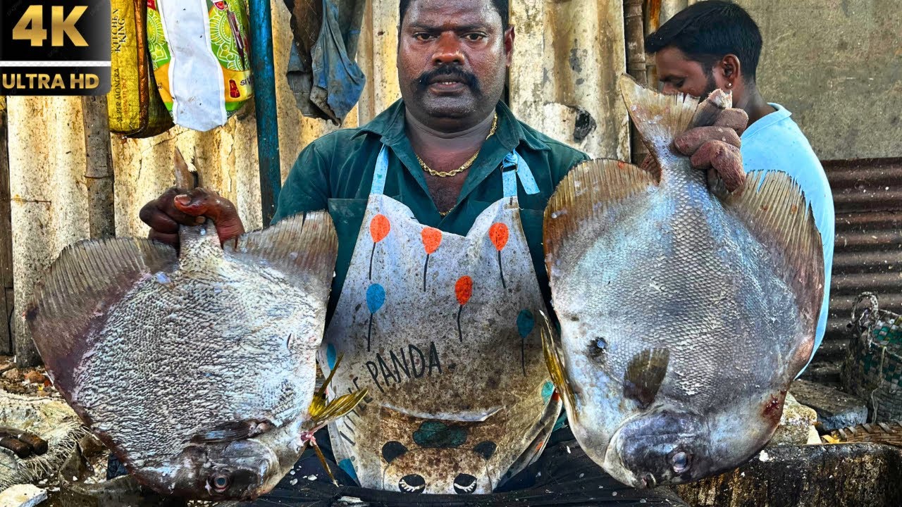BIG SPADE FISH CUTTING BY SPEED SELVAM | 4K VIDEO | IN KASIMEDU ...