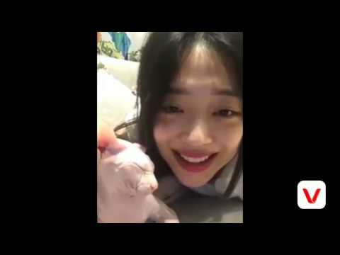 SULLI Live With Her Cat(Sulli Is Lovable)Sulli Deserve To Live