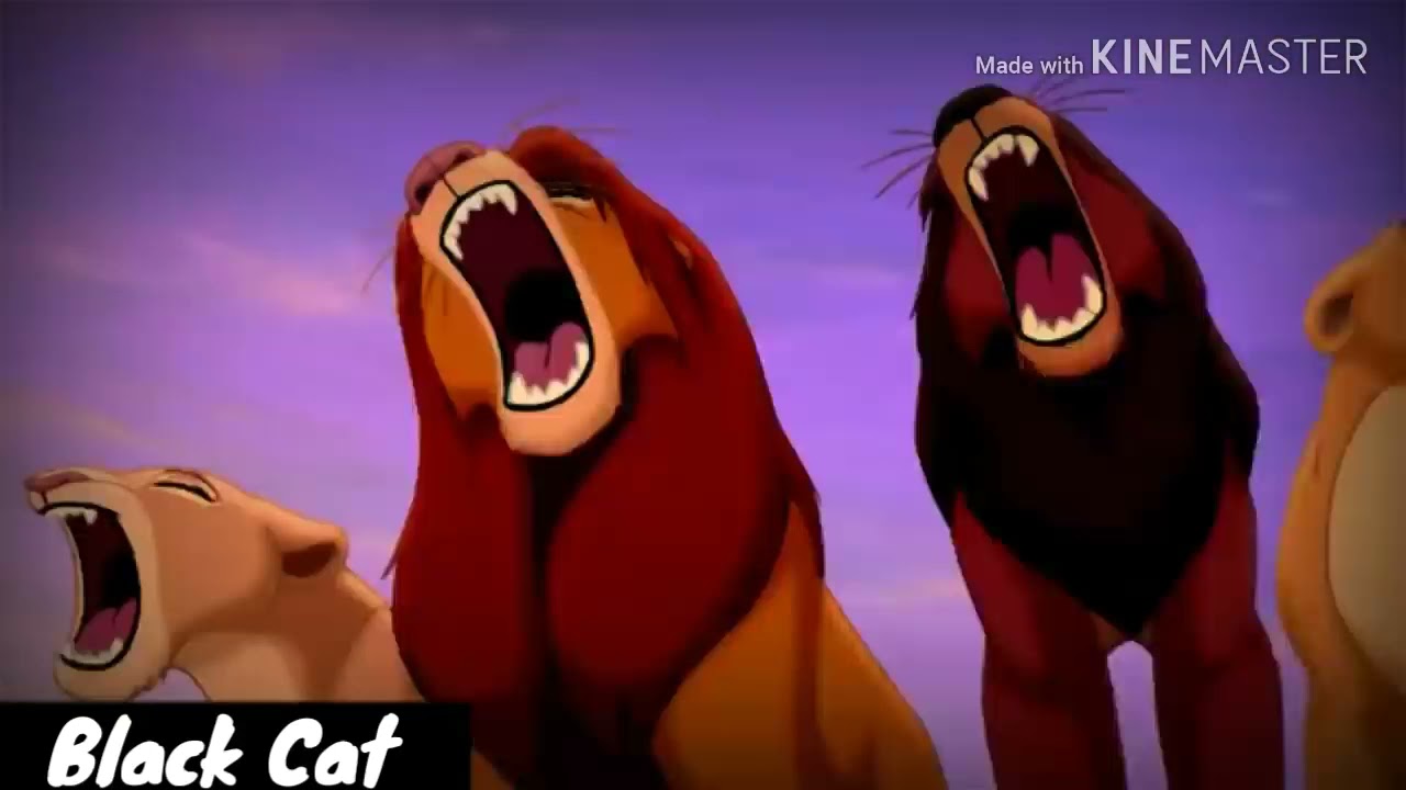 Simba multfilm - YouTube