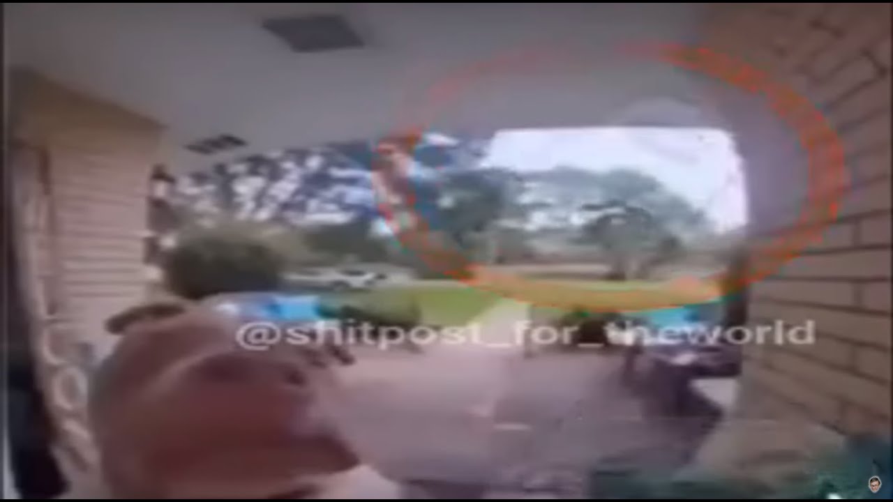 how to become a dolbaeb - YouTube