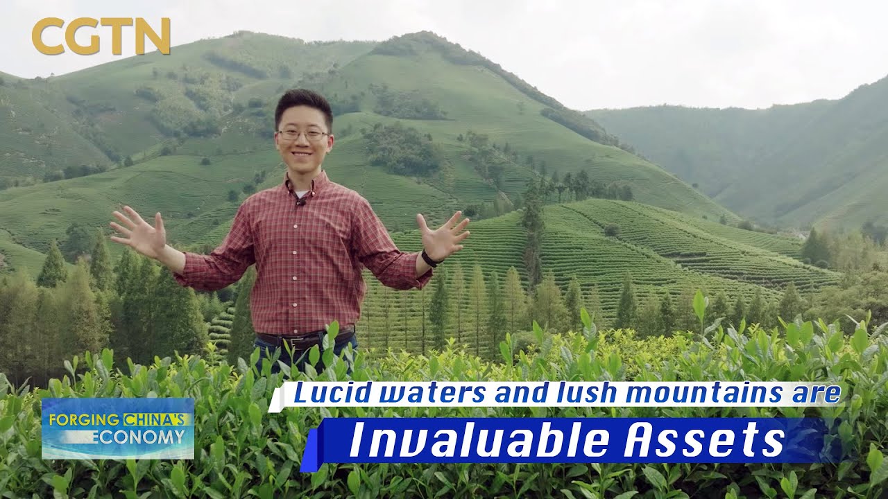 Lucid waters and lush mountains are invaluable assets - YouTube