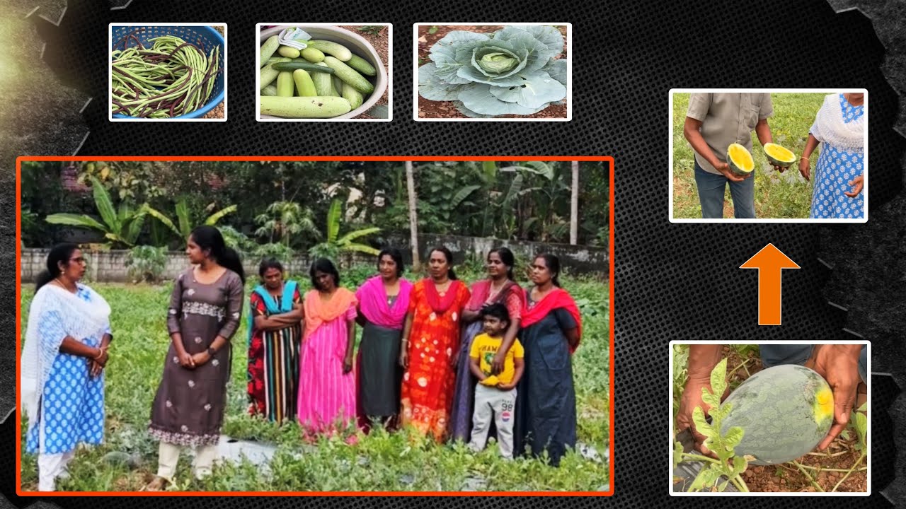 പെണ്ണുങ്ങൾ ഒന്നിച്ചാൽ | Quppi - YouTube