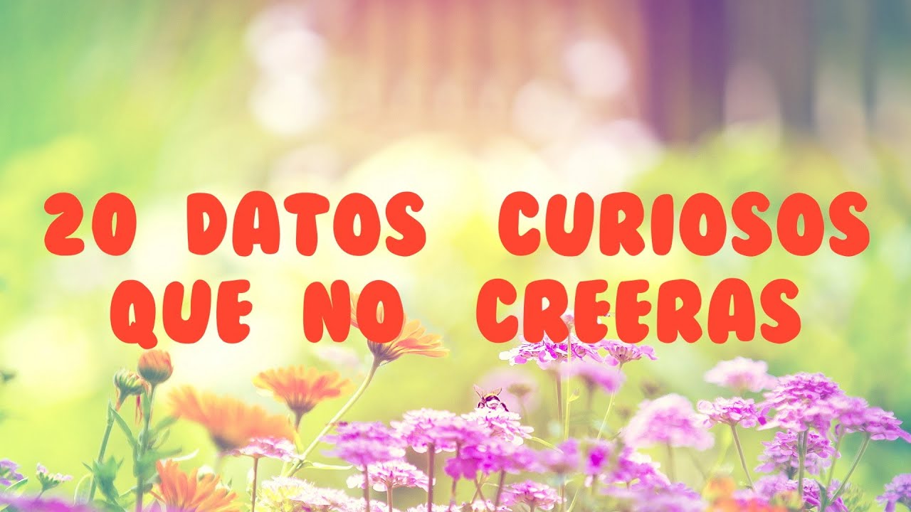 20 Datos curiosos que no creerás - YouTube