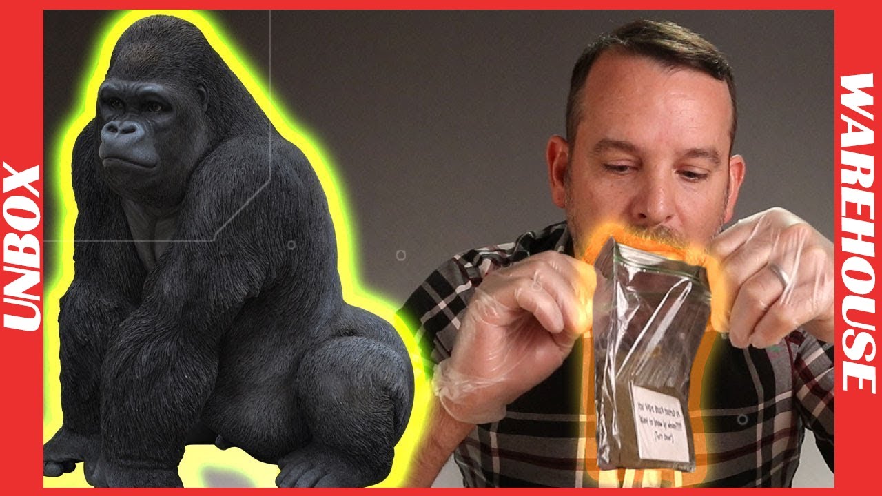 My Brother Mailed Me Gorilla Poop! My First Fan Mail! - YouTube