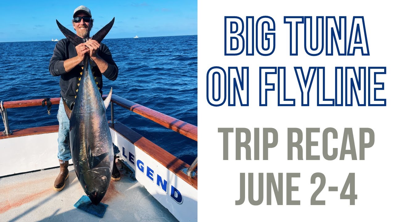 Big Flyline Tuna Boiling and Surface Fish Reactions - Trip Recap June 2 ...