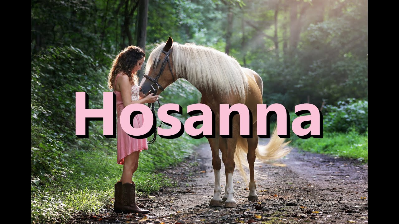 Hosanna (Praise Is Rising) - Karaoke Flute Instrumental Paul Baloche ...