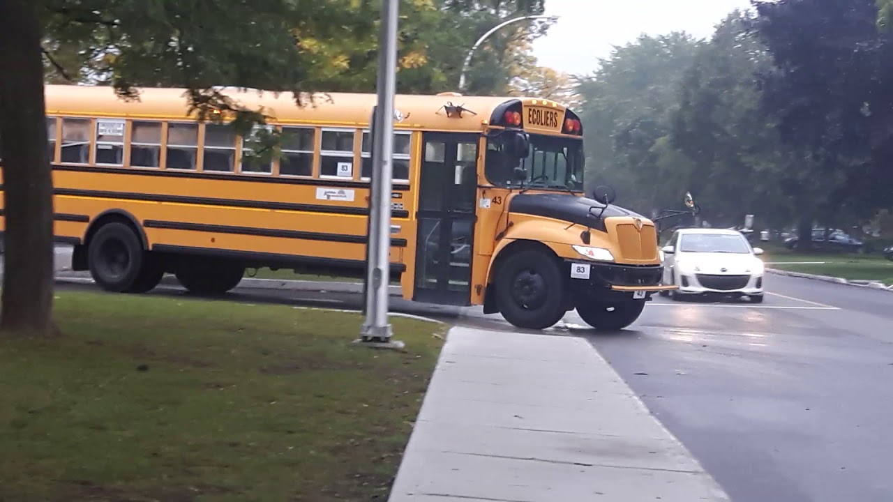 AM Buses Of October 1, 2019 - YouTube