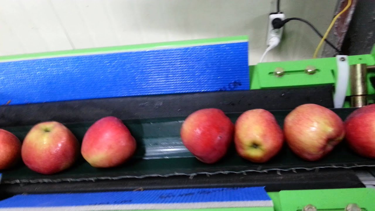 Fruit sorter by PLC - YouTube