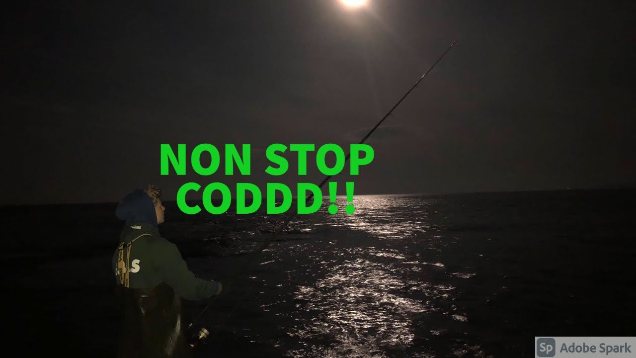 COD MANIA!!!!! - Fishing near Filey , rigs and bait - YouTube