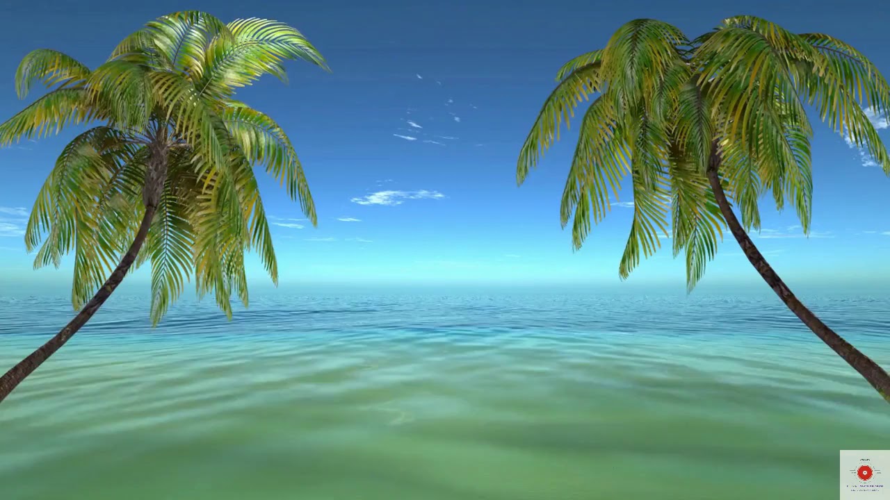 🌴 Ocean Ambience on a Tropical Island with Soothing Waves & Paradise ...