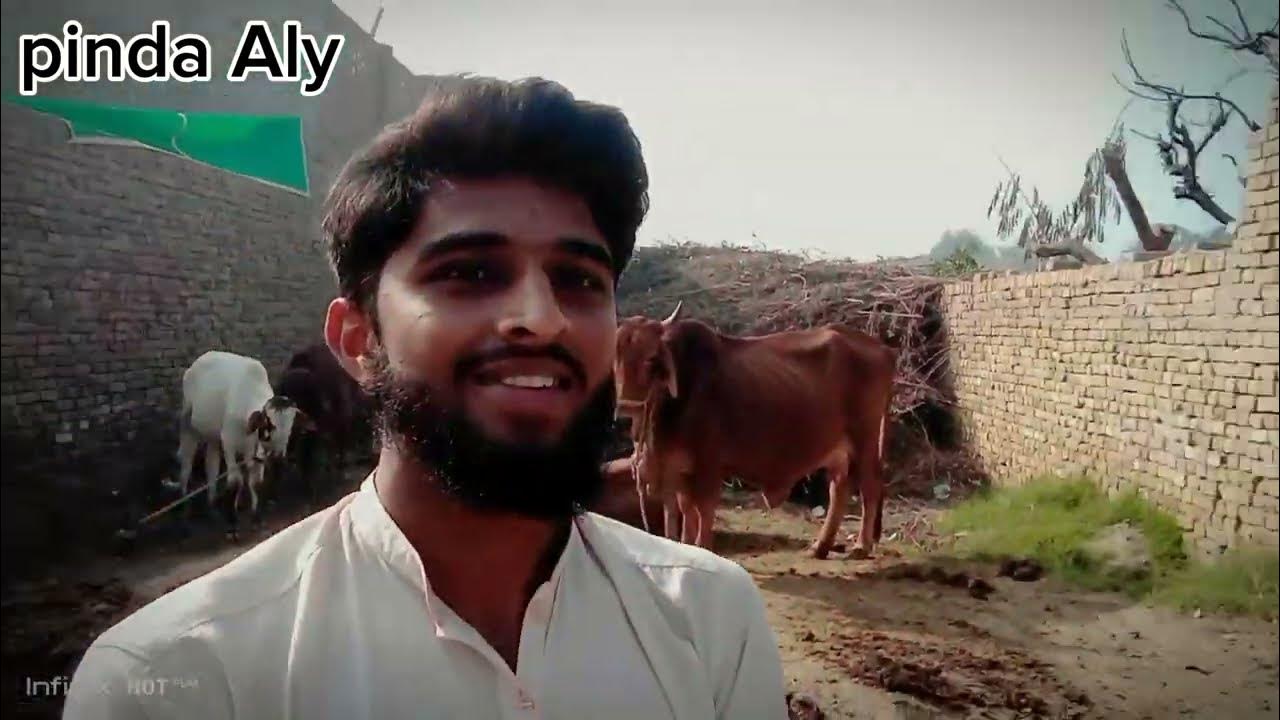 pinda Aly Ansari51 Vlog Show the video of E-Tanu Animal in the pind - YouTube
