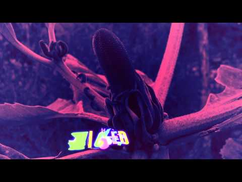 Veronica Vega - Wicked (Lyric Video) feat. Pitbull