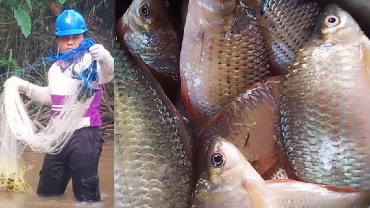 Cara Menjaring Ikan di Sungai - YouTube