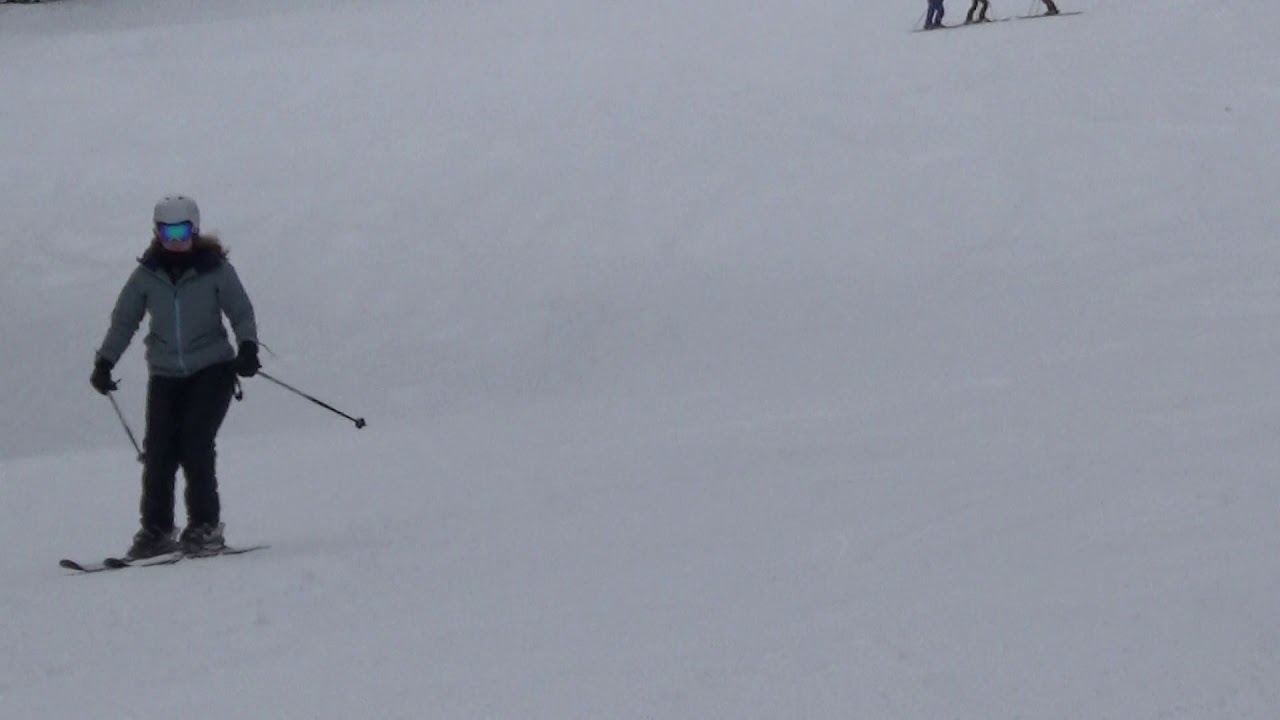 Ski 01/28/2020 Parallel Turns, Blue Run 2 - YouTube