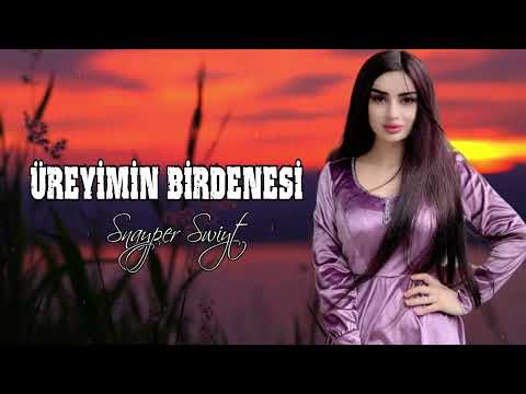 Azeri Remix 2026 ( ÜREYİMİN BİRDENESİ ) En Yeni Azeri Hit Mahni ✔️✔️✔️
