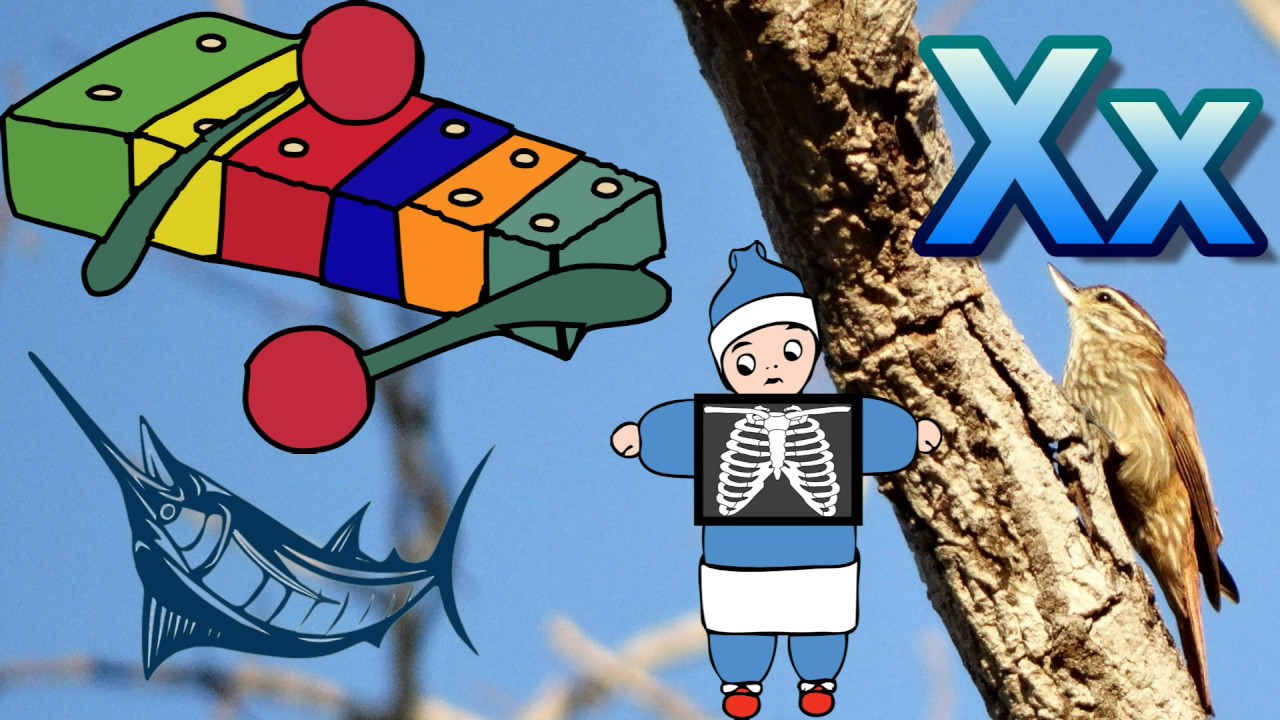 Learn About the Letter X #ABC #Alphabet #Phonics #PreschoolLearning ...