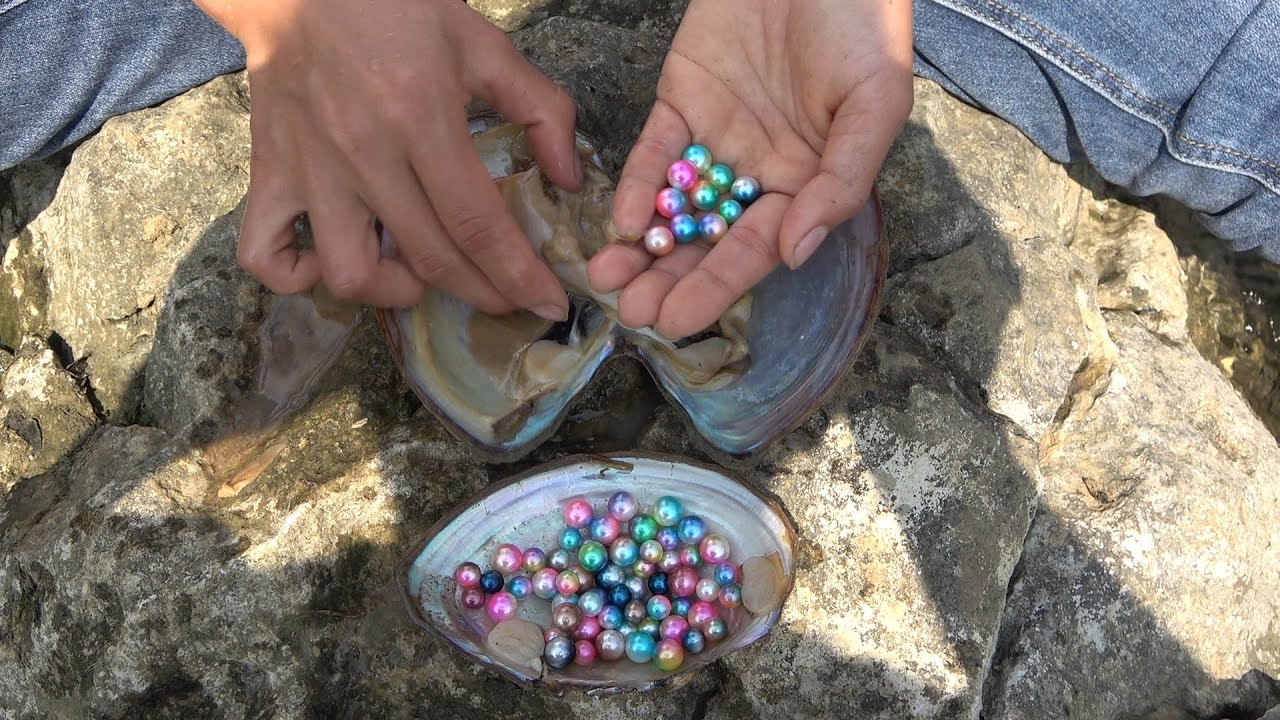 Pink and blue pearls of the colorful pearl series. The pearls in the ...
