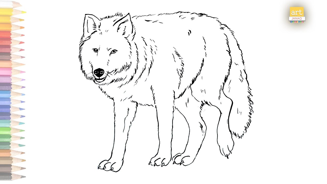 Wolf Drawing Outline