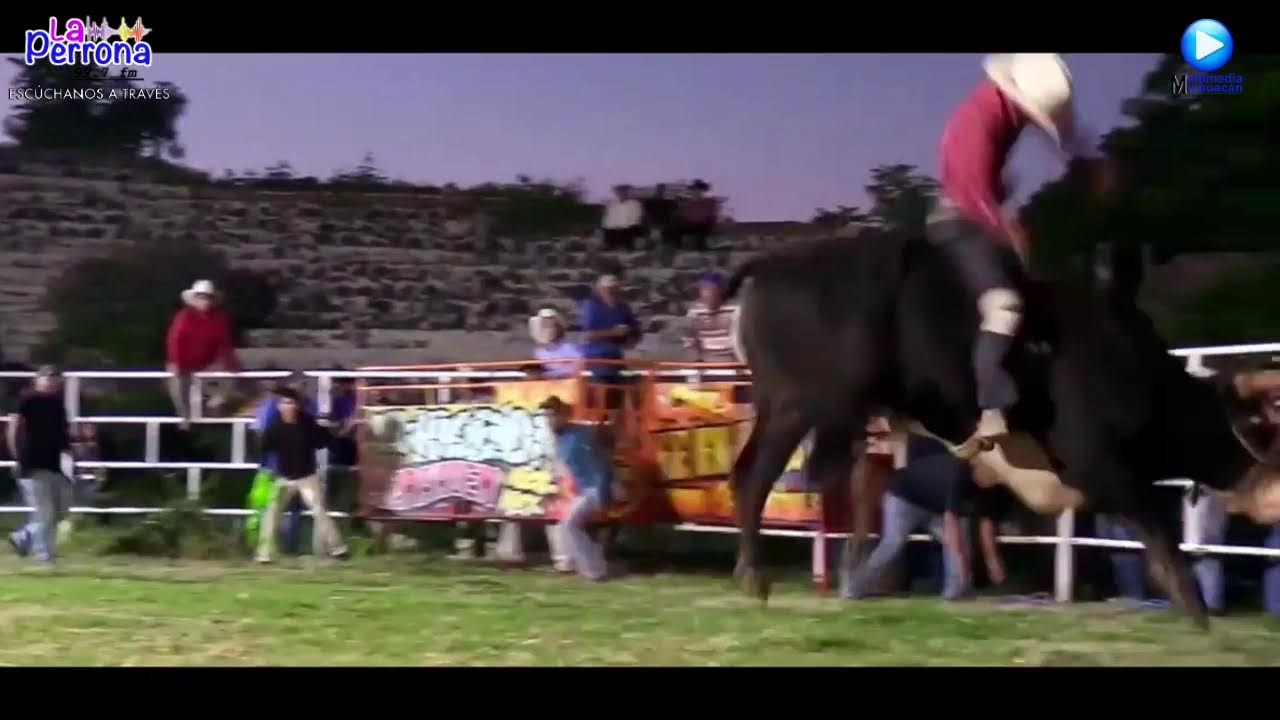 FM Noticias con Felipe Maya Emisión Lunes 15 de Enero del 2024 - YouTube