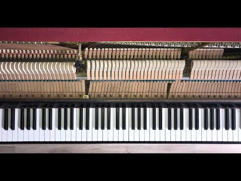 Pjanoo (Eric Prydz)