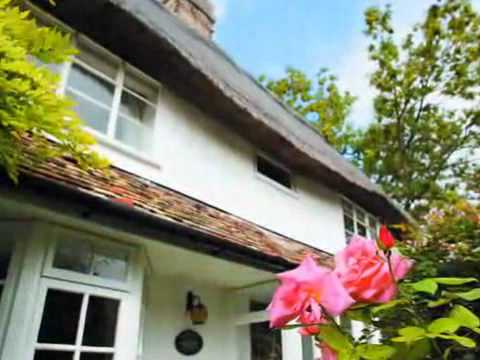 Donald Leslie & Co.Ltd - YouTube