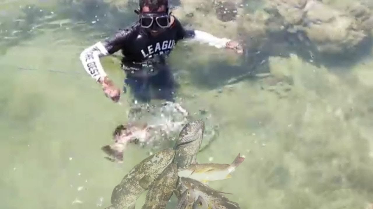 Diving to Shoot Monster Fish in Shallow Waters 😬 #fishing #fish # ...