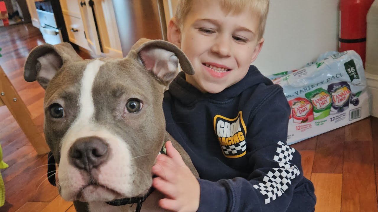 Meet Bo's new puppy, Bentley 🩵🐾 #kidsvideo #dog #fun - YouTube